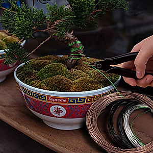 AIEX 1mm 6 Rolls Bonsai Wire Aluminium 196.8 Feet in Total for Bonsai Tree Training and Craft Making with Nippers(Black, Brown, Silver, Green)