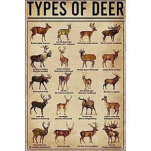 Types Of Deer Knowledge Sign Retro Metal Sign Vintage Tin Sign For Kitchen Home Cafe Art 5.5x8 Inch A Gift For Mom And Dad