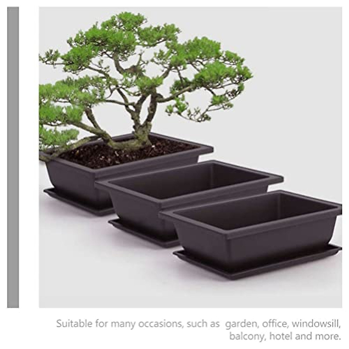 DOITOOL 5PCS Rectangular Bonsai Training Pot , 6.5 inch Plastic Bonsai Pot with Drainage Hole, Small Bonsai Planter Pot for Desktop Decoration Nursery, Garden, Balcony