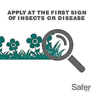 Safer Brand 5192-6, 16 oz Horticultural & Dormant Spray Oil Concentrate, 1 Pack, Green