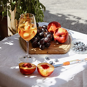 Dicunoy 4 Pack Unbreakable Stemmed Wine Glasses, 15 oz Tritan Outdoor Wine Glasses, Hard Plastic Goblets Glassware, Reusable, BPA-Free, Classic Wine Cups for Patio, Poolside, Camping