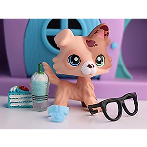 Judy Custom Erect Ears Butter Collie, OOAK Rare Figures Tan and Brown Buddy with Different Eyes with lps Accessories