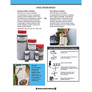 Natures Good Guys - Amblyseius swirskii (10 Sachets with 250 Mites)