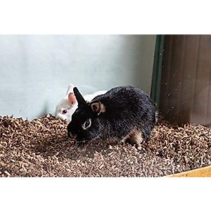 ECO BEDDING FiberCore Box, Brown, 10 lb