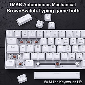 DIERYA T68SE Mechanical Gaming Keyboard, LED-Backlit Wired Keyboard, Ultra-Compact Mini 68-Key White Keyboard with Brown Switches, Anti-Ghosting Keys, for Windows Laptops and PC Gamers