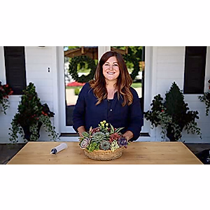 Espoma Organic Cactus Potting Soil Mix, Natural & Organic Soil for Cactus, Succulent, Palm, and Citrus Grown in containers Both Indoors and Outdoors, 4 qt, Pack of 1