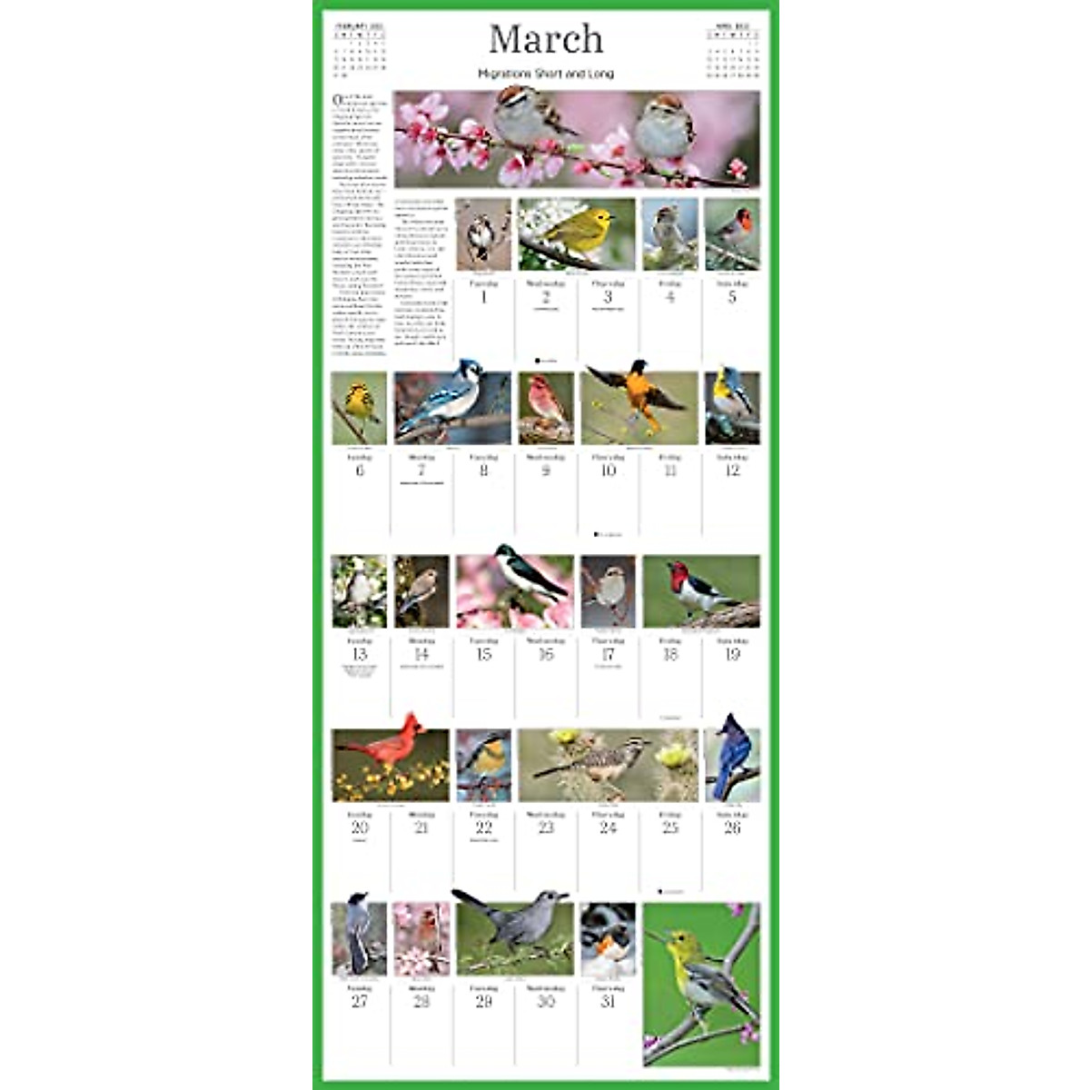 Audubon Songbirds and Other Backyard Birds Picture-A-Day Wall Calendar 2022: Your Daily Sighting of Songsters that Bring Color, Joy, and Sweet Melodies.