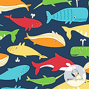 i play. by green sprouts baby boys Pull-up Reusable Absorbent Swimsuit and Toddler Swim Diaper, Navy Whale League, 24 Months US