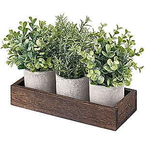 Dahey 3 Pack Mini Potted Artificial Eucalyptus Fake Plants with Wood Tray Centerpiece Table Decor, Farmhouse Pulp Flower Pots Greenery Home Decoration for Coffee Table Dining Room Office Kitchen