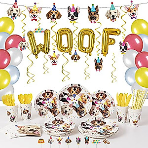 DECORLIFE Dog Party Decorations, Dog Themed Birthday Party Supplies Serves 16, Includes Paper Plates Set, Banner, Hanging Swirls, Total 178PCS, for Puppy Birthday Decorations