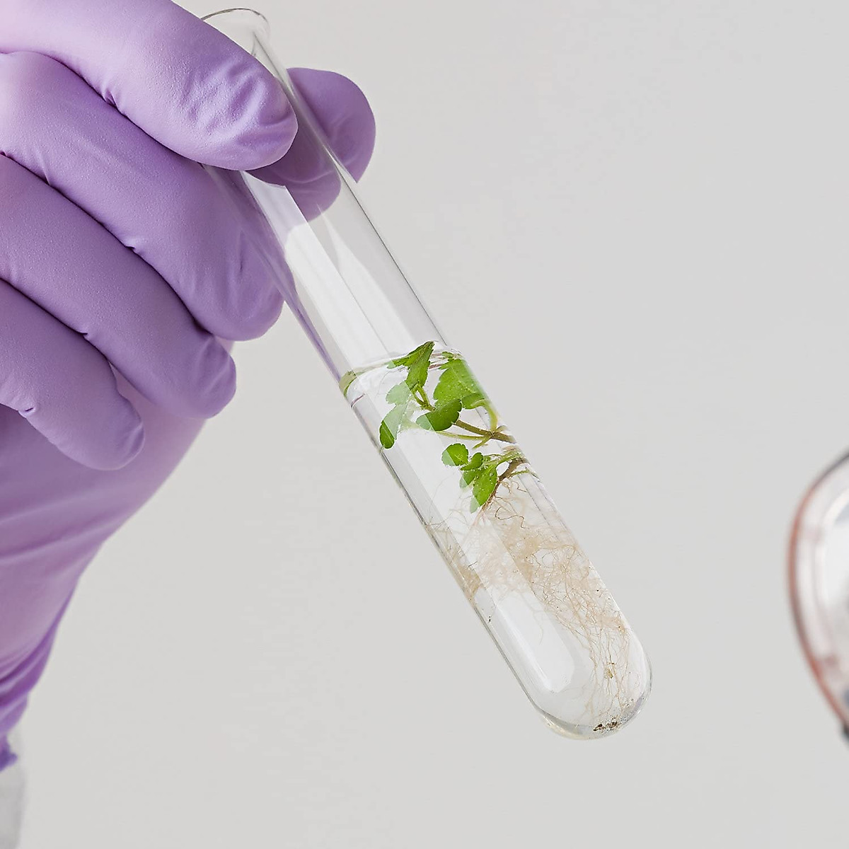 FunChem Glass Test Tubes, Pack of 20 Sturdy Round Bottom Clear Test Lab Tubes, 20 mm O.D. X 150 mm Length YQ-TestTube-ALL 20 O.D. x 150 mm Length