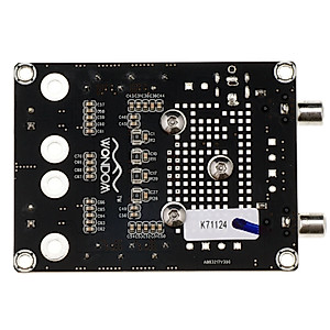 2 X 50W 2 Channel Dual Channel amp Board Sure Electronics WONDOM 2 X 50Watt Class D Audio Amplifier Board - TPA3116 TPA3116D2 Stereo for Bird Repellent