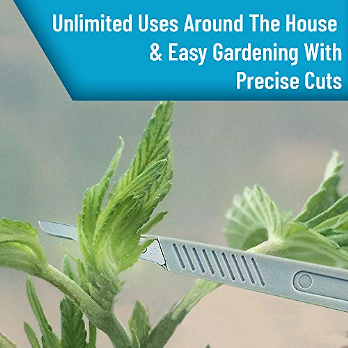 MyMed #15 Disposable Scalpel, Pack of 10 Dermaplaning Blades with Plastic Handle, Scalpel for School Science, High Carbon Steel Dermablade Blades. Individually Wrapped, Sterile