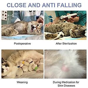 HACRAHO Pet Recovery Suit, 1 PCS Cat Surgical Recovery Suit Breathable E-Collar Alternative for Cats and Dogs, Chest Girth 14.96-18.11"