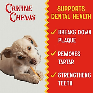 Canine Chews 5" Chicken Coated Sticks - Pack of 45 Chicken Wrapped Rawhide Dog Treats - 100% Real USA-Sourced Chicken Coating - Protein-Dense Chicken Wrapped Dog Treats Rawhide Chews