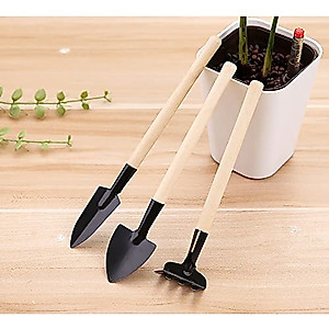 Mini Garden Tool Set of 3 Garden Hand Shovels Gardening Kit with Wood Handle Include Hand Trowel Transplant Trowel and Cultivator Hand Rake for Succulent Pot Planting Transplanting Digging