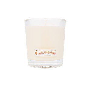Mimosa 10 oz Champagne Effervescence & Freshly Squeezed Orange, 10 oz Soy Blend Candles 283g