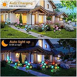 MOLAIER Solar Garden Lights, Solar Lights Outdoor 7 Color Changing Rose Lights Waterproof Outdoor Lights Solar Powered with Flowers, Garden Decor for Patio Yard Pathway, (2 Pack, Blue and Pink)