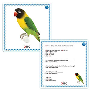 Super Duper Publications | Webber® Big Apraxia Photo Cards | Organized Words by Syllable for Ease of Speech Production | Vowels and Consonants | Basic Syllable Shapes | Activities with Instructions