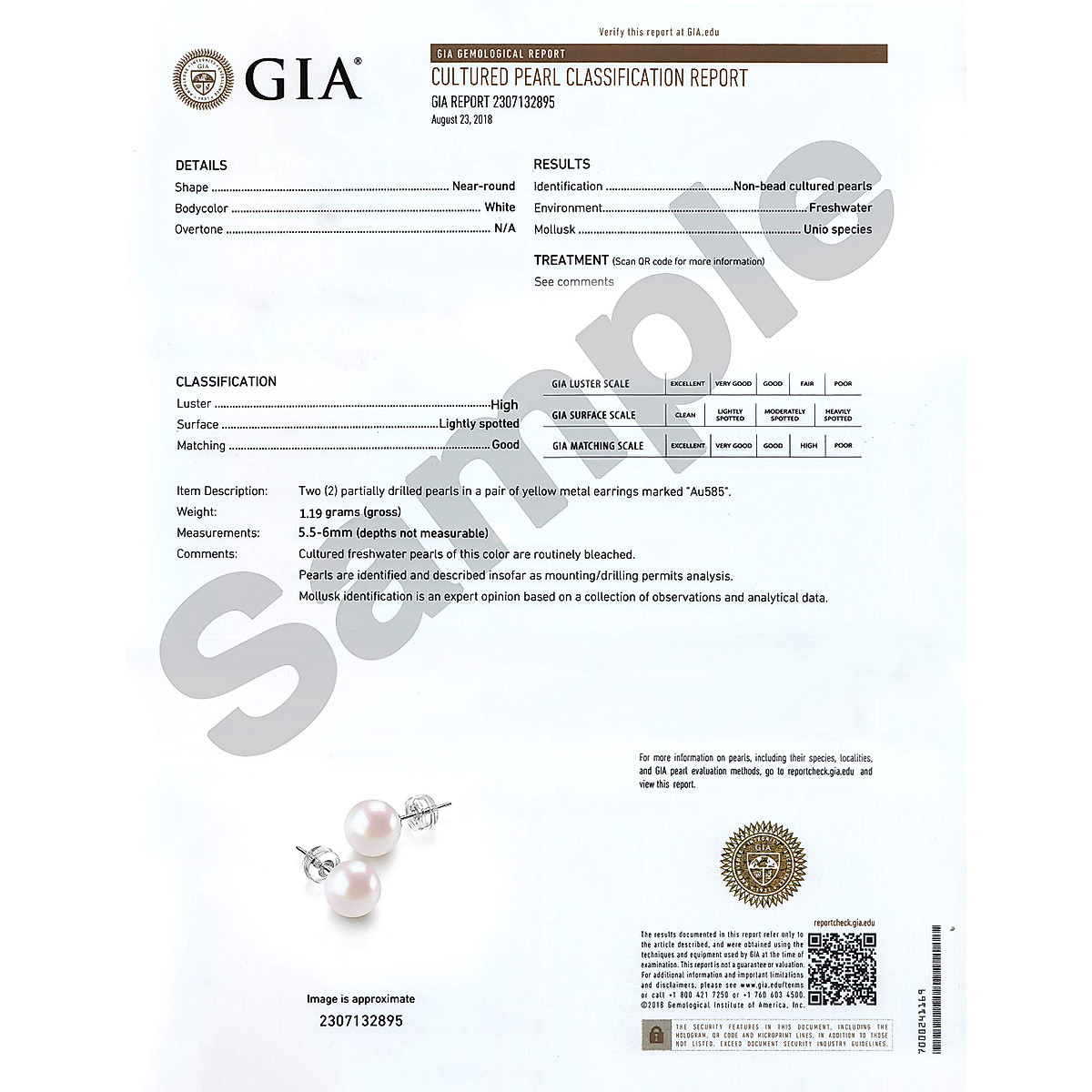 Pearl Earrings 14K White Gold White Freshwater Cultured Pearl Stud Earrings for Women (6mm)