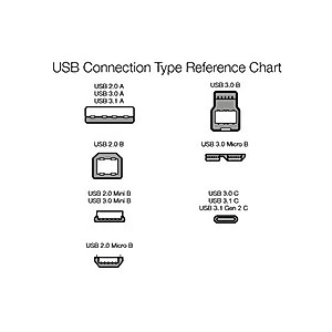 Amazon Basics USB-C to USB-A 3.1 Gen1 Female Adapter Cable Converter, 5Gbps High-Speed, USB-IF Certified, for Laptops, Tablets, Phones, White