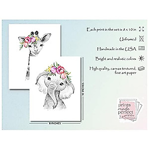 Safari Animals Wall Art Prints - Nursery Decor - Set of 4 - Zoo Animal Pictures - Unframed - (8x10)