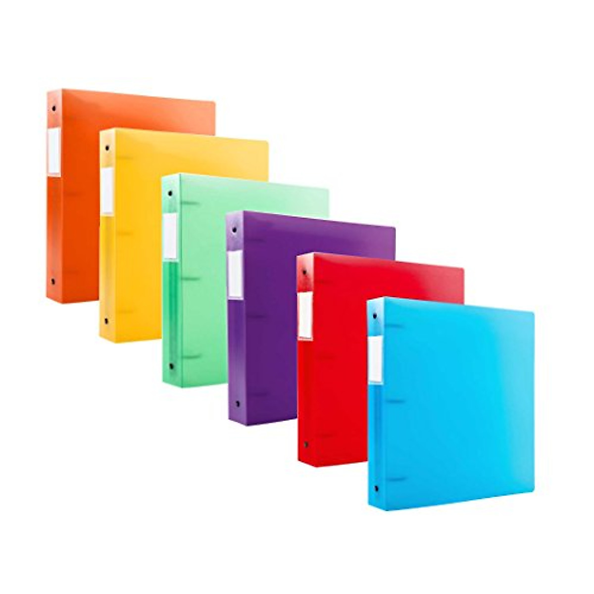 Filexec 50003-6492 6492, 1" Frosted Ring Binder, Set of 6, 6 Assorted Colors, Blueberry, Strawberry, Grape, Lime, Lemon, Tangerine