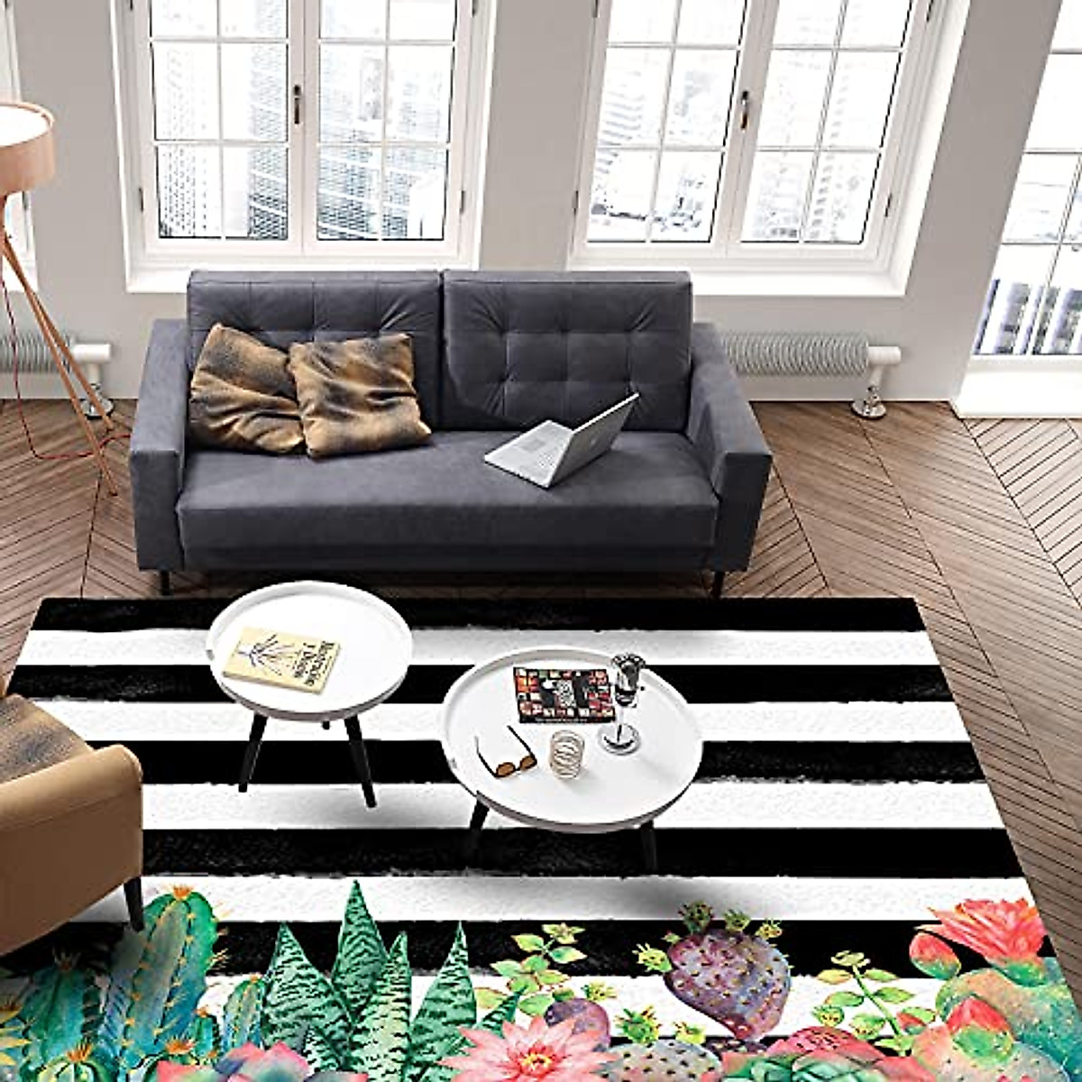 Olivefox 3x5 Feet Floor Mat Area Rug, Cactus Watercolor Black and White Stripes Runner Indoor Carpet, Non Skid Rug Accent for Living Room, Hallway, Kitchen, Office HSM-2021-5-13-JJXT-SHZF02827MDKAOLX