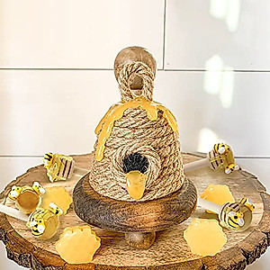 5 PCS Honey Dipper with Faux Honey Mini Bee Tiered Tray Decor Spring Summer Farmhouse Kitchen Display