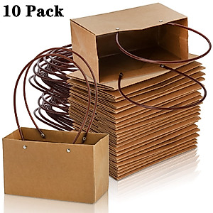 DEAYOU 10-Pack Kraft Paper Flower Gift Bags, Brown Bouquet Bags Box with Handle, Small Brown Paper Carrier Tote Bags with Waterproof Lining for Floral Arrangements, Party Favor, Ultra Thick