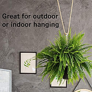 National Hardware N260-152 Q Hangers Ceiling Hanging String Lights More Sturdy Than Cup Hooks, Stainless Steel