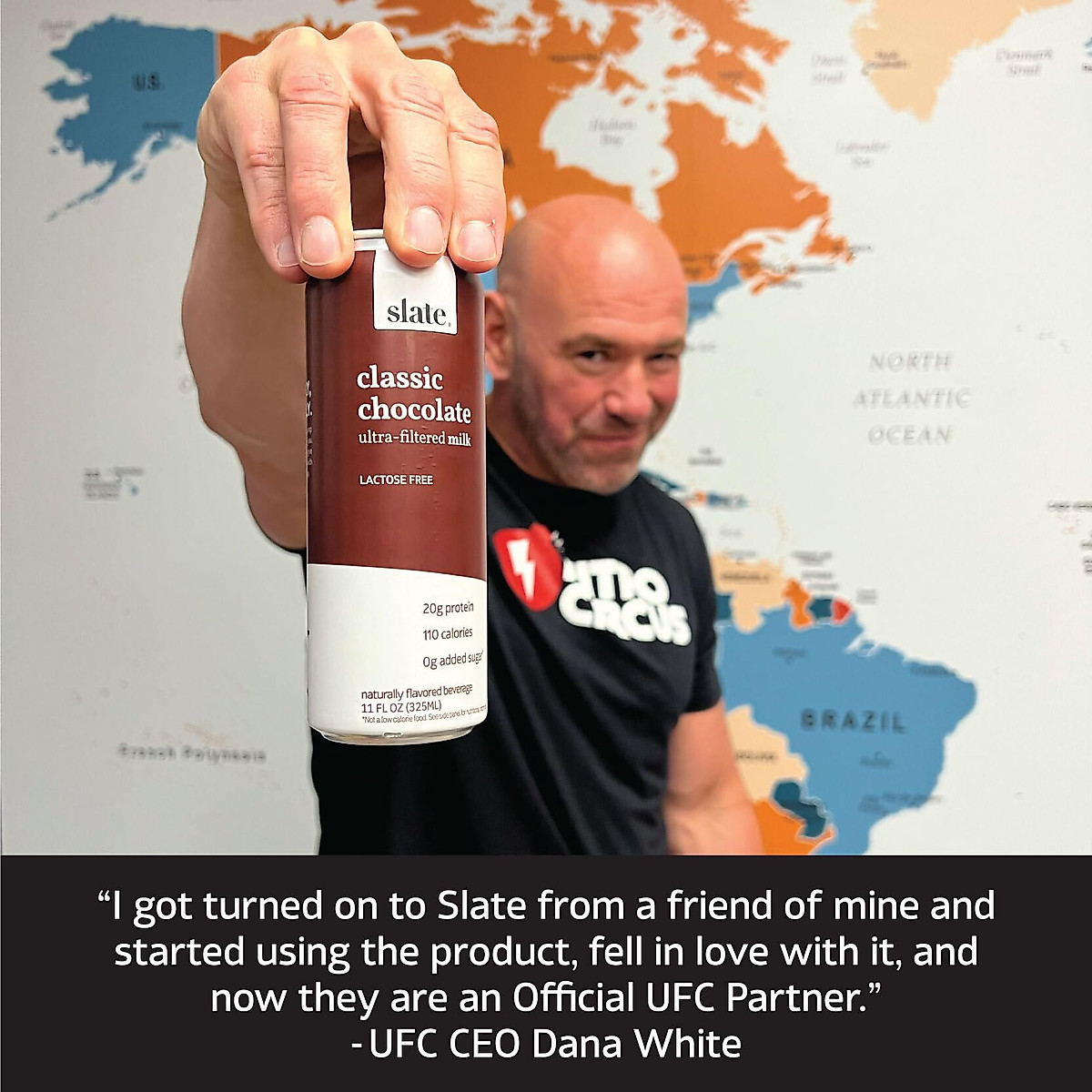 Slate Milk - High Protein Shake, Classic Chocolate, 20g Protein, 0g Added Sugar, Lactose Free, Keto, All Natural (11 oz, 12-Pack)