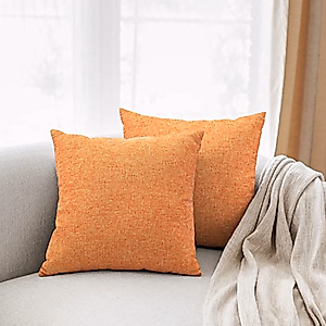 All Smiles Orange Fall Throw Pillow Covers 18x18 for Fall Decor Outdoor Furniture Set of 2 Fall Decoration Autumn Square Farmhouse Rustic Case Burnt Orange Pillow Covers Cushion for Sofa Couch
