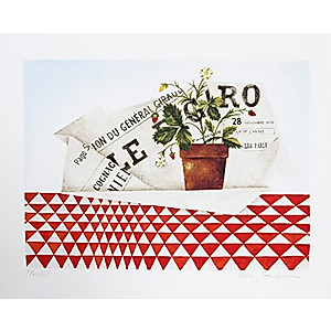 Strawberry Plant and Figaro