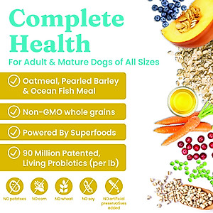 Solid Gold Dry Dog Food for Adult & Senior Dogs - Made with Oatmeal, Pearled Barley, and Fish Meal - Holistique Blendz Potato Free High Fiber Dog Food for Sensitive Stomach & Immune Support - 12 LB