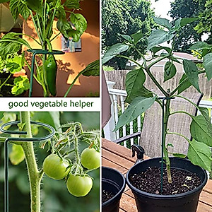 SUNYAY 12 inch Green Plant Support Stakes Metal Garden Stakes Flower Support Stakes and Rings for Amaryllis Orchid Lily Sunflower Rose Narcissus 10 pcs