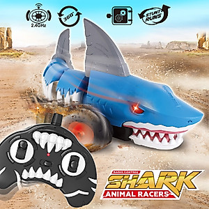 Rugged Racers Animal Racer Remote Control Cars – Monster Truck RC Toys for Kids – Shark –Big Wheels Racing All Terrain Vehicle - Sweeping Tail and 360-Degree Spin – Ideal for Toddlers, Boys and Girls