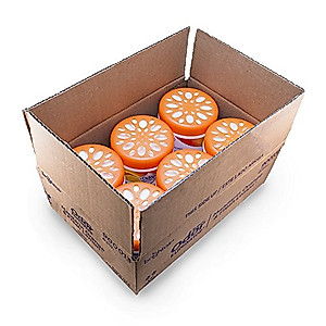 Bright Air Solid Air Freshener and Odor Eliminator, Mandarin Orange and Fresh Lemon Scent, 14 Oz Each, 6 Pack