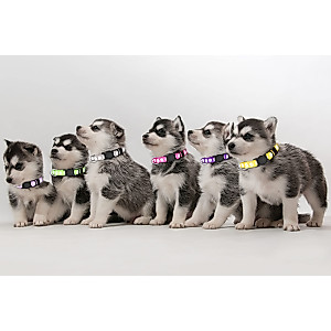 16 Pack Puppy Collars,Puppy Collars for Litter,Paw Print Safety Puppy Collars for Small Puppies,Nylon Breakaway Puppy ID Collars Whelping Collars Litter Collars Glow in The Dark(S)
