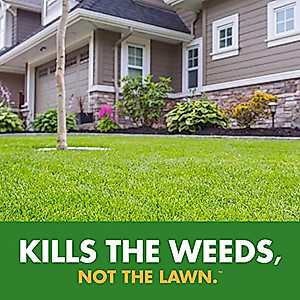 Spectracide Weed Killer, 10.8 lb, Clear