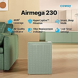 Coway Airmega 230 True HEPA Air Purifier with Air Quality Monitoring, Auto, and Filter Indicator, Sage Green
