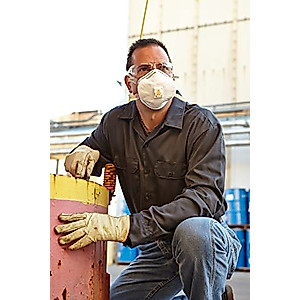 3M Particulate Respirator 8233, N100 (1 Piece)