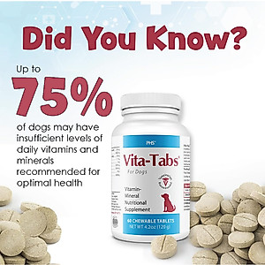 Vita-Tabs - Essential Vitamins, Minerals, Nutrients - Health Supplement for Dogs - Support Immune System, Bones - Liver Flavored - 250 Chewable Tablets