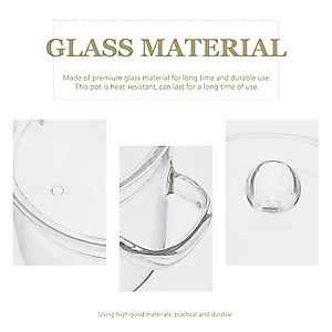 DOITOOL Glass Saucepan Heat Resistant: 1900ml Glass Cooking Pot with Cover Nonstick Soup Pot Sauce Pan for Soup Pasta Noodle Baby Food Transparent