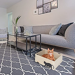 Papercat Cat Scratcher, 5 PCS in 1 Scratching pad with Box, Natural Recycled Corrugated Cardboard, Reversible for 2X Use, Kitty Refill Indoor, Brown (PC-MZB-001)