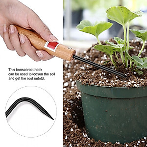 Zerodis Weeder, Metal Garden Weeding Tool with Wood Handle Mini Weed Puller Cultivator for Digging Edging Planting