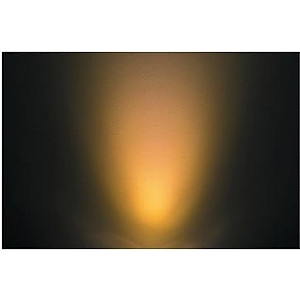 Solar Paw Print Lights (Set of 4), Warm White(3000-4500k) (Warm White)