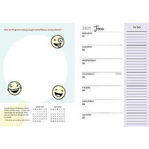 2021 Amy Knapp's The Very Busy Planner: 17-Month Weekly Organizer for Women (Includes Stickers, Student Planner, Family Planner, Thru December 2021)