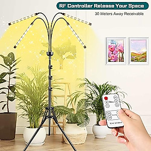 ZXMEAN Grow Lights for Indoor Plants Full Spectrum with 15-60 inches Adjustable Tripod Stand Plant Light with 4/8/12H Timer with Remote Control, LXG0009