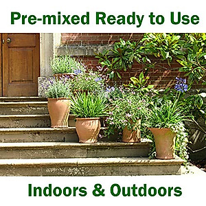 WONDER SOIL Organic Potting Soil | Ready to Plant Coco Coir Fully Loaded with Nutrients | 3 LBS Bag Expands to 12 Quarts of Indoor Outdoor Soil for Gardens & Plants | Incl Worm Castings, Perlite